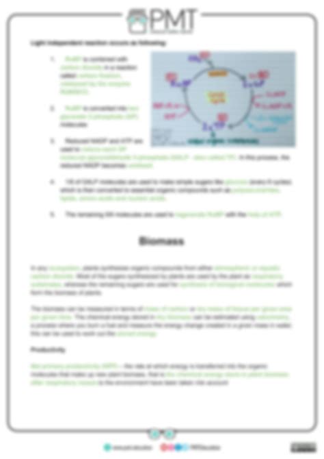 SOLUTION Biology Energy Flow Ecosystems And The Environment Studypool