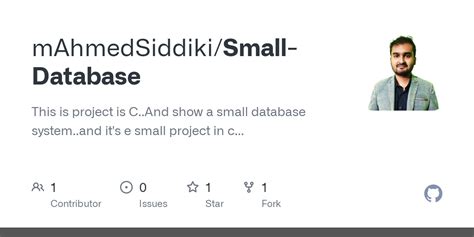 Github Mahmedsiddiki Small Database This Is Project Is C And Show A Small Database System