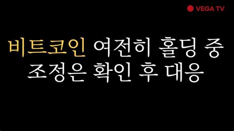 비트코인 여전히 홀딩 중 조정은 확인 후 대응231204 Youtube