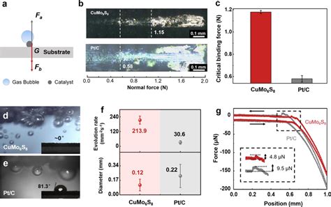 Strong Interfacial Binding Force And Small Electrocatalyst Gas Bubble Download Scientific