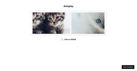 Embla Carousel Autoplay Vanilla Forked Codesandbox