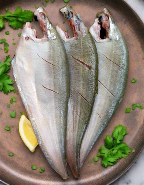 Foli 500gm Nyc Chefsrhere