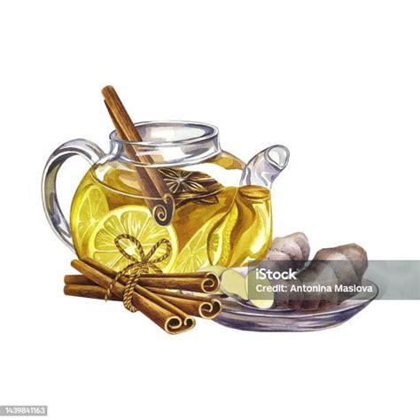 레몬 계피 생강을 곁들인 향기로운 항 바이러스 차 수채화 그림입니다 비타민 차와 유리 주전자 0명에 대한 스톡 벡터 아트 및 기타 이미지 Istock