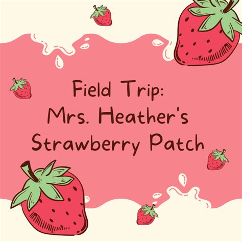 Mrs Heathers Strawberry Patch Chef Of Gno