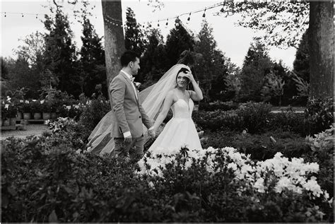 The More We See Terrain At Styers Spring Wedding