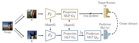 Self Supervised Learning Reading Note Qiang Zhang