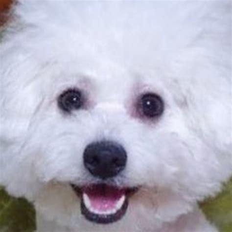 개환장파티 Youtube