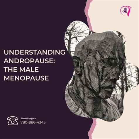 Understanding Andropause The Male Menopause Level Up Wellness Group