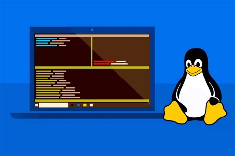come eseguire app linux su windows 10