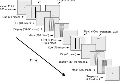 Representation Of A Trial Sequence In Half The Trials The Target Was Download Scientific