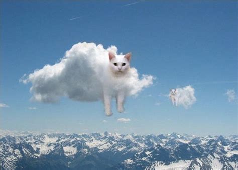 Anna Ivanova On Linkedin Cloud Ansible Terraform Groovy Git