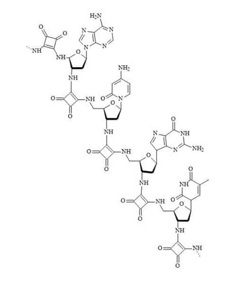 Squaryl Molecular Metaphors Drug Design Open Medscience