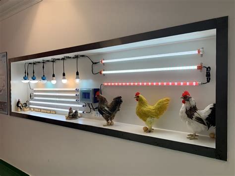 Joanna Huang On Linkedin Our Chinese Taiwan Distributor Came To Visit Our Factory Today They Said