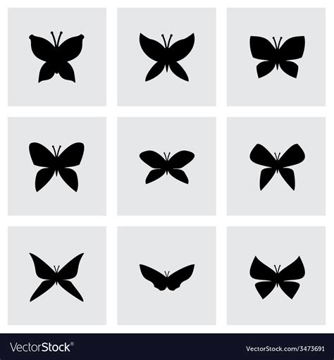 Butterfly Icon Set Royalty Free Vector Image Vectorstock