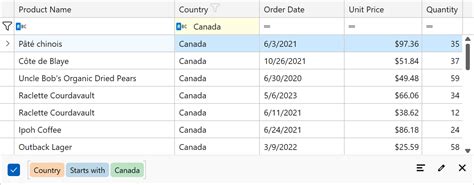 Automatic Filter Row Wpf Controls Devexpress Documentation
