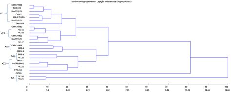 Representative Dendrogram Of The Clustering Of 25 Common Bean Genotypes