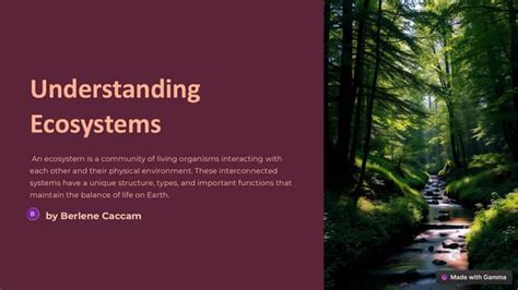 Environmental Science Understanding Ecosystems Pdf