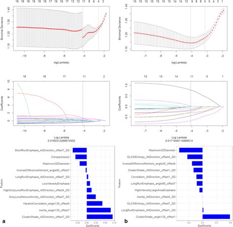 the results of lasso regression and mrmr on radiomics features based on