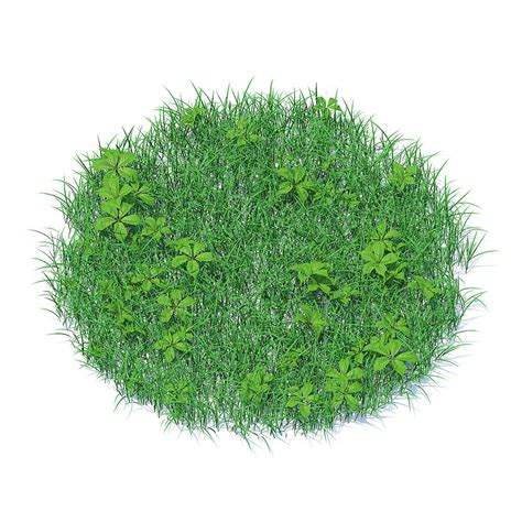 Grass With Plants 3dモデル ダウンロード 草 On
