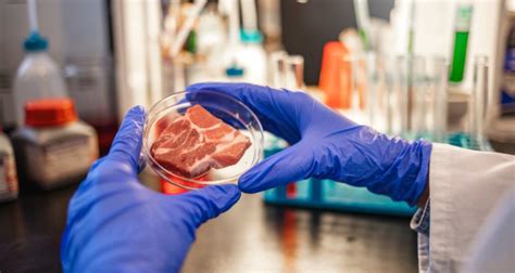 One Health European Joint Programming Projectonderdeel Simex Wur