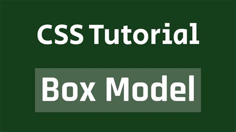 Css Tutorial Css Box Model Bangla Youtube