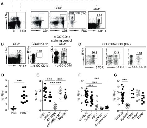 Ifn C Secretion By Nk Cells In Response To Salmonella Requires