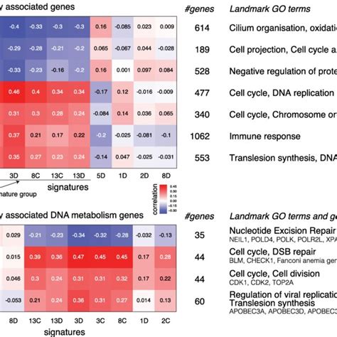 Gene Expression Correlation Modules A All Genes Significantly