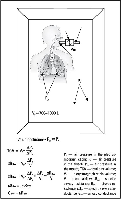 Graphic Presentation Of Plethysmographic Measurement Of Lung Volume And Download Scientific