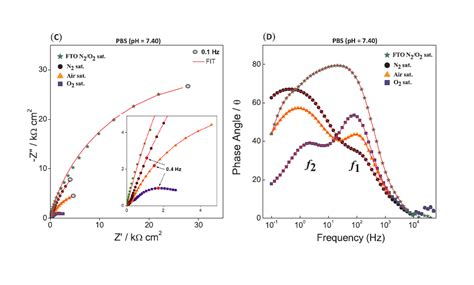 Development Of A Nanocomposite Chemiresistor Sensor Based On Pi