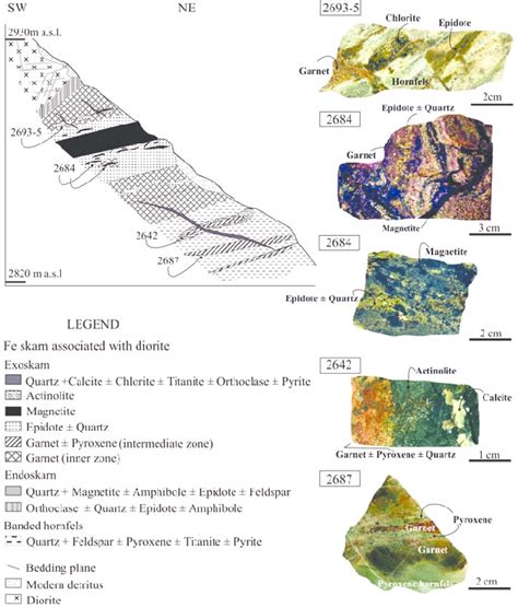 Schematic Sw Ne Profile Of The Fe Skarn Associated With Diorite Shown Download Scientific