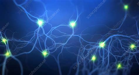 Neuronal Network Conceptual Illustration Stock Image F0386354