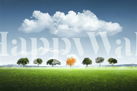 Seven Tree Wallpaper Happywall