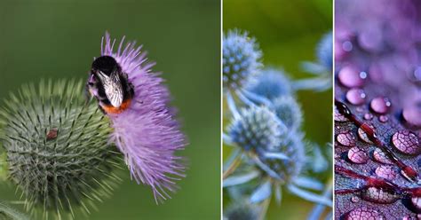 List Regularization Techniques For Neural Networks Curated By Rukshan Pramoditha Medium