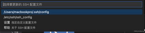 vs code 跳板机登录服务器（手打密码 秘钥登录） vscode 跳板机 csdn博客
