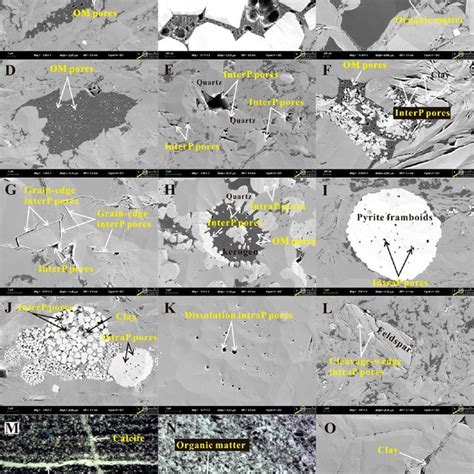 Examples Of Four Kinds Of Pores Organic Matter Pores Interparticle Download Scientific