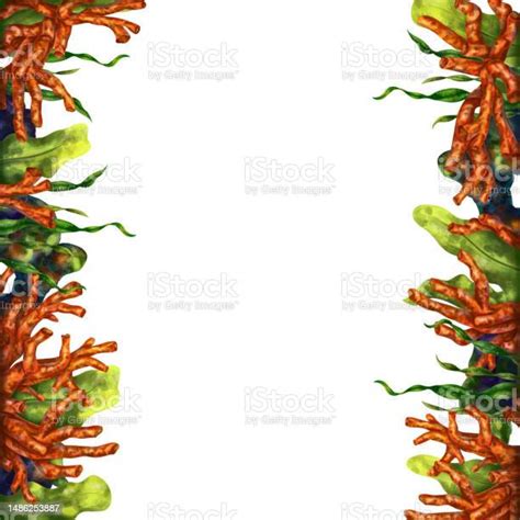 열대어 산호 조류 돌로 만든 정사각형 해양 프레임 수중 세계 흰색 배경에 디지털 일러스트레이션 디자인 포장 인쇄 포스터 엽서 섬유 기념품 구도에 대한 스톡 벡터 아트 및