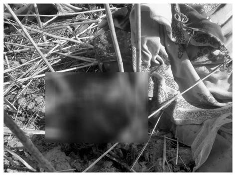 In Sonbhadra A Person Was Crushed To Death With A Stone सोनभद्र में व्यक्ति की पत्थर से कूंच