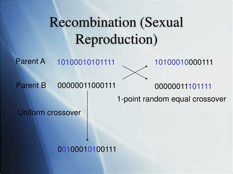Ppt The Standard Genetic Algorithm Powerpoint Presentation Free Download Id9558724