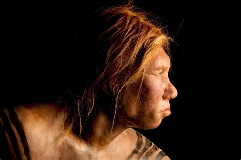 Denisovans New Scientist