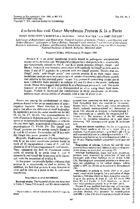 Pdf Escherichia Coli Outer Membrane Protein K Is A Porin