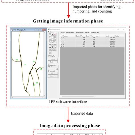 Basic Statistical Flowing Chart For Crack Processing Download Scientific Diagram