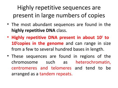 Repetitive Sequences In The Eukaryotic Genome Ppt