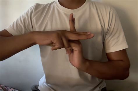 Updated Images Object Detection Model By Tensorflow Tf Records