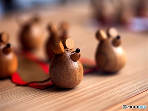 子孫繁栄 By Ti (id:9260100) 写真共有サイトphotohito 子孫繁栄 By Ti (id:9260100) 写真共有サイトphotohito