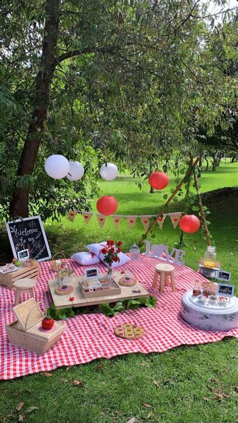 Picnic En 2025 Cumpleaños En Parques Ideas Creativas Para Fiestas