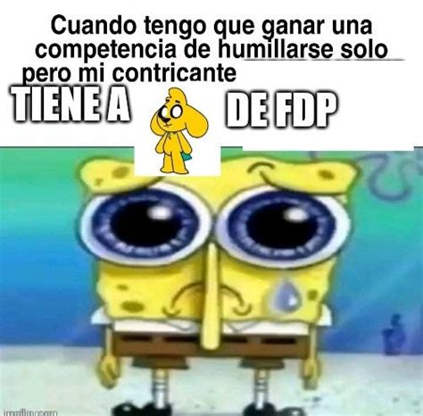 Últimos Memes Memedroid