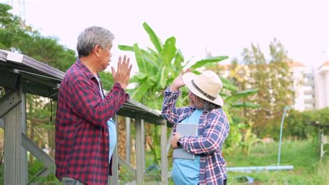 Old Asian Couple Farmers Use Tablets To Adjust Solar Cells Degree And