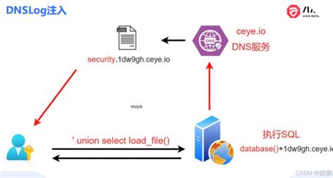 Dnslog漏洞探测dnslog平台 Csdn博客 Dnslog漏洞探测dnslog平台 Csdn博客
