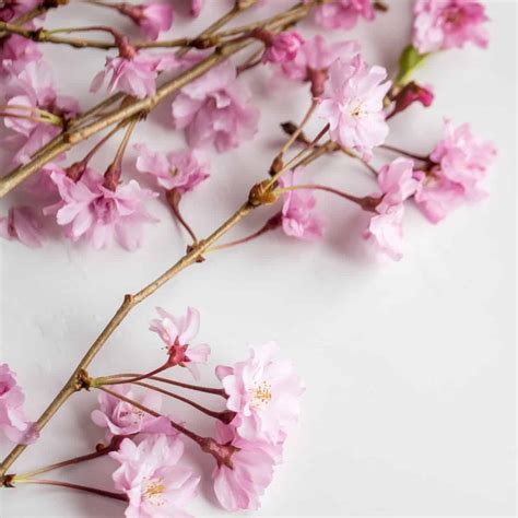 Best Composite Chart Aspects For Relationships Sasstrology