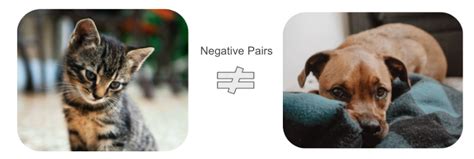 train your own classifier tyoc for image data protection netskope